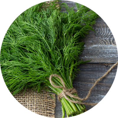 G'Day Farm - Local Produce For Locals