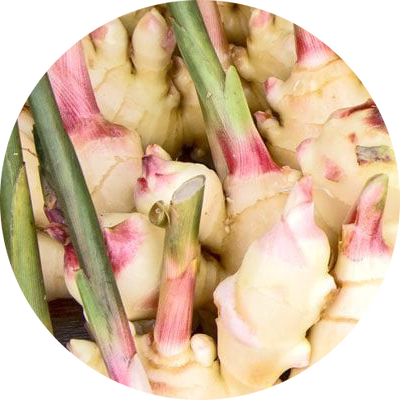 G'Day Farm - Local Produce For Locals