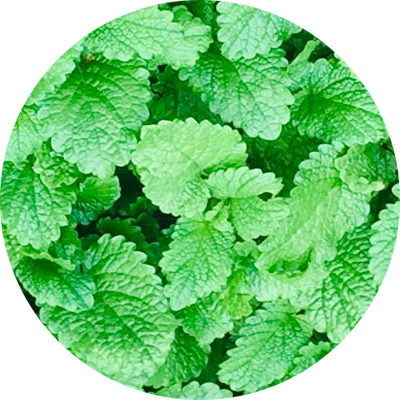 G'Day Farm - Local Produce For Locals