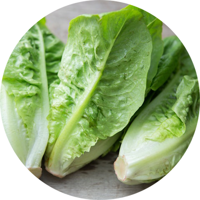 G'Day Farm - Local Produce For Locals