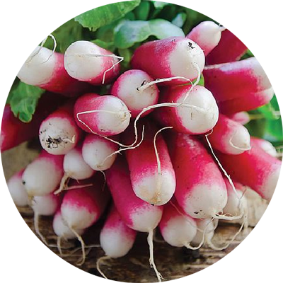 G'Day Farm - Local Produce For Locals